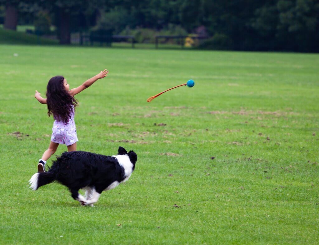 Summertime Kindness to Animals Activity Choice Boards | TeachKind