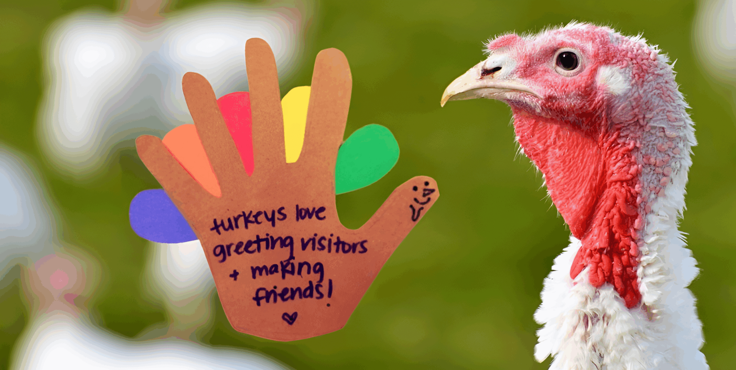 Thanksgiving Class Project: Give Turkeys a Hand! - TeachKind