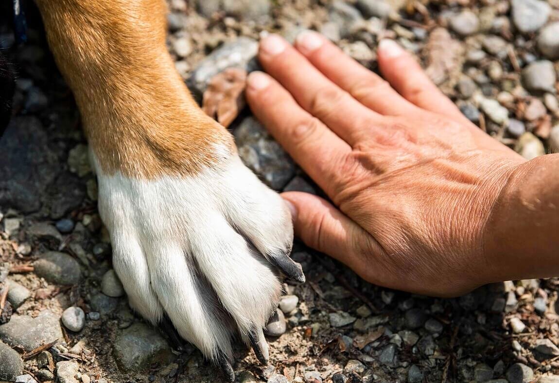 How Bigotry Begins | TeachKind